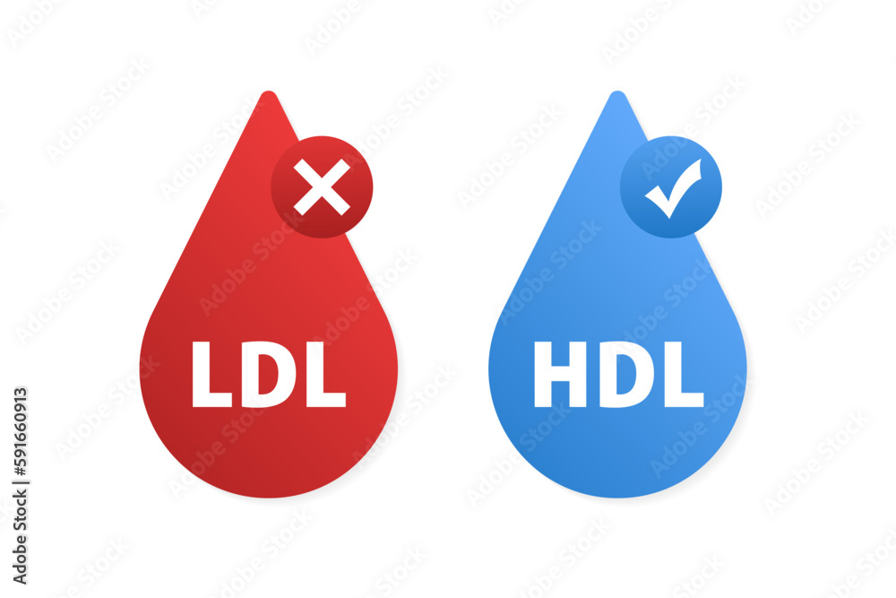 Vecteur Stock HDL, LDL great design for any purposes. Medical ...