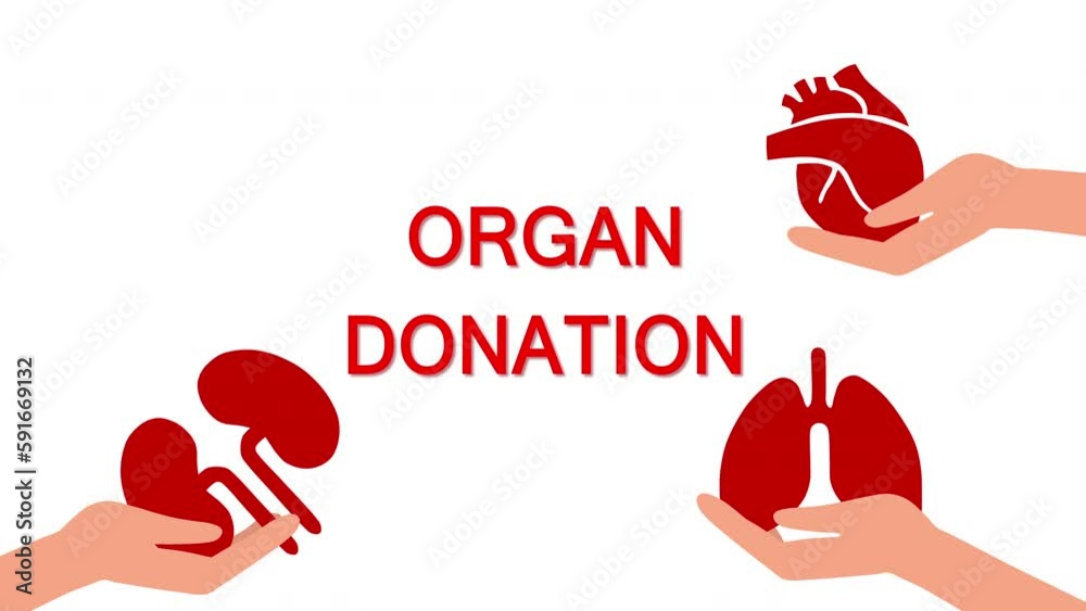 Hands holding human organs. World Organ Donation Day. Concept of organ ...