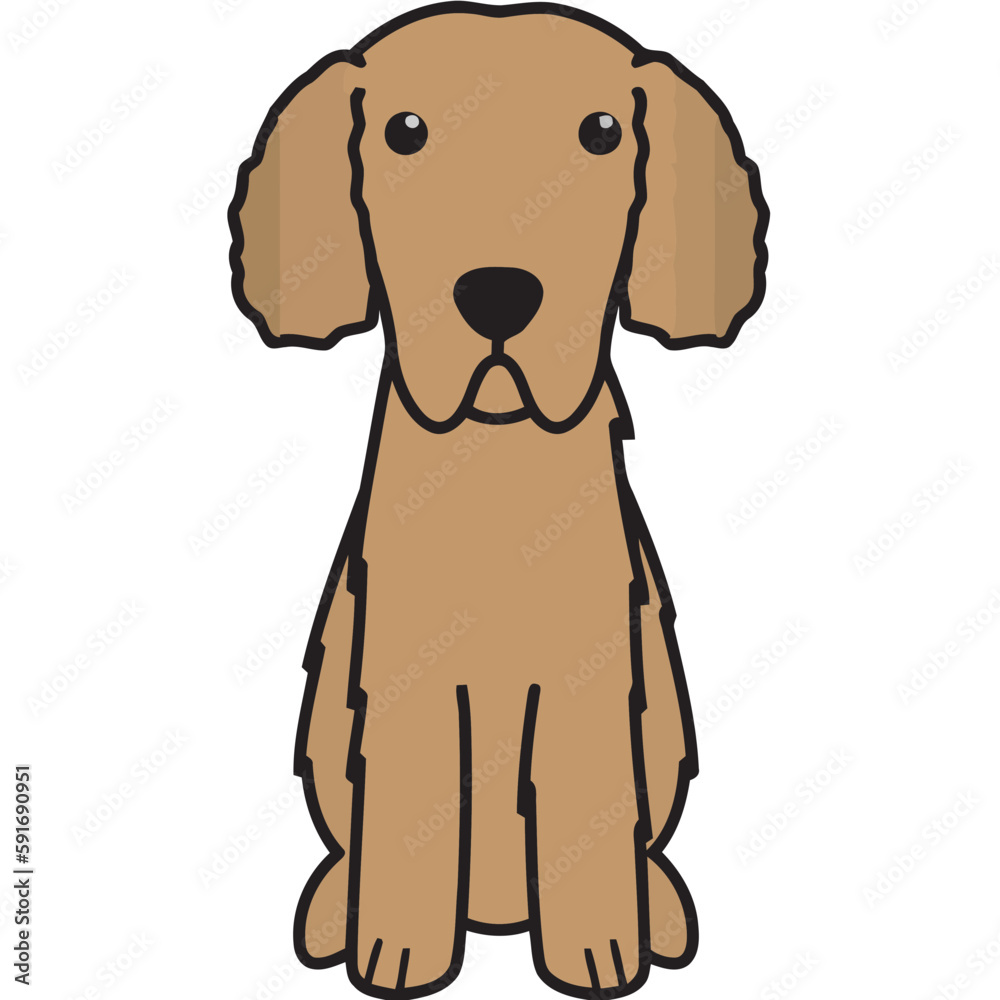 Curly Coated Retriever Dog Breed Cartoon Kawaii Sketch Hand Drawn ...