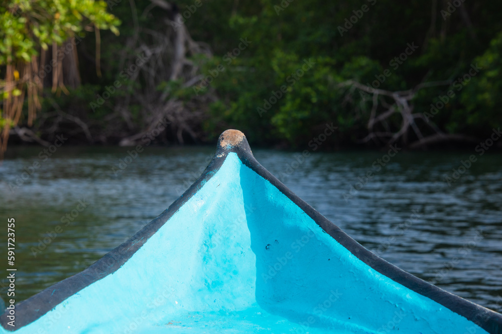 mangrove swamp in coveñas colombia by the sea tropical forest at the ...