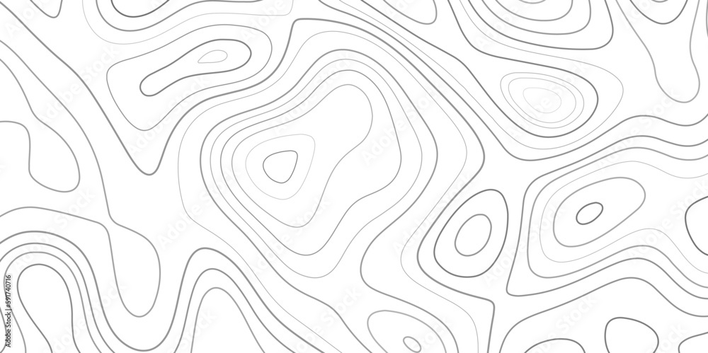 Topographic Map Contour Background Topo Map With Elevation Contour Map Vector Geographic