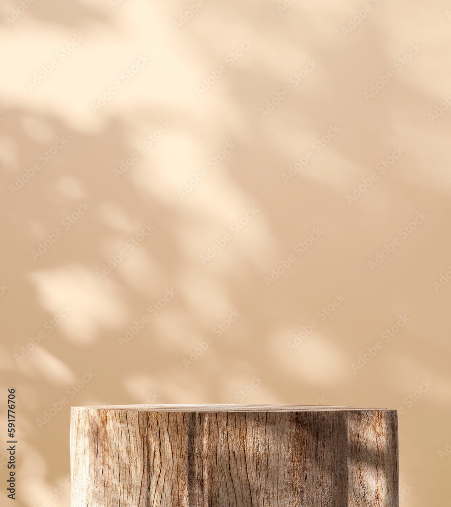 Minimal, natural log wood podium table in dappled sunlight, tropical ...