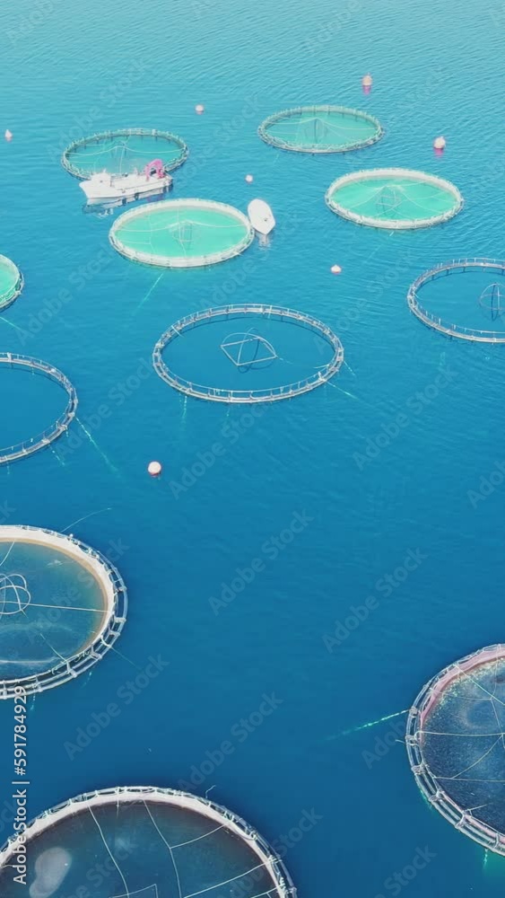Fish farm in Turkey providing mariculture for global food markets ...