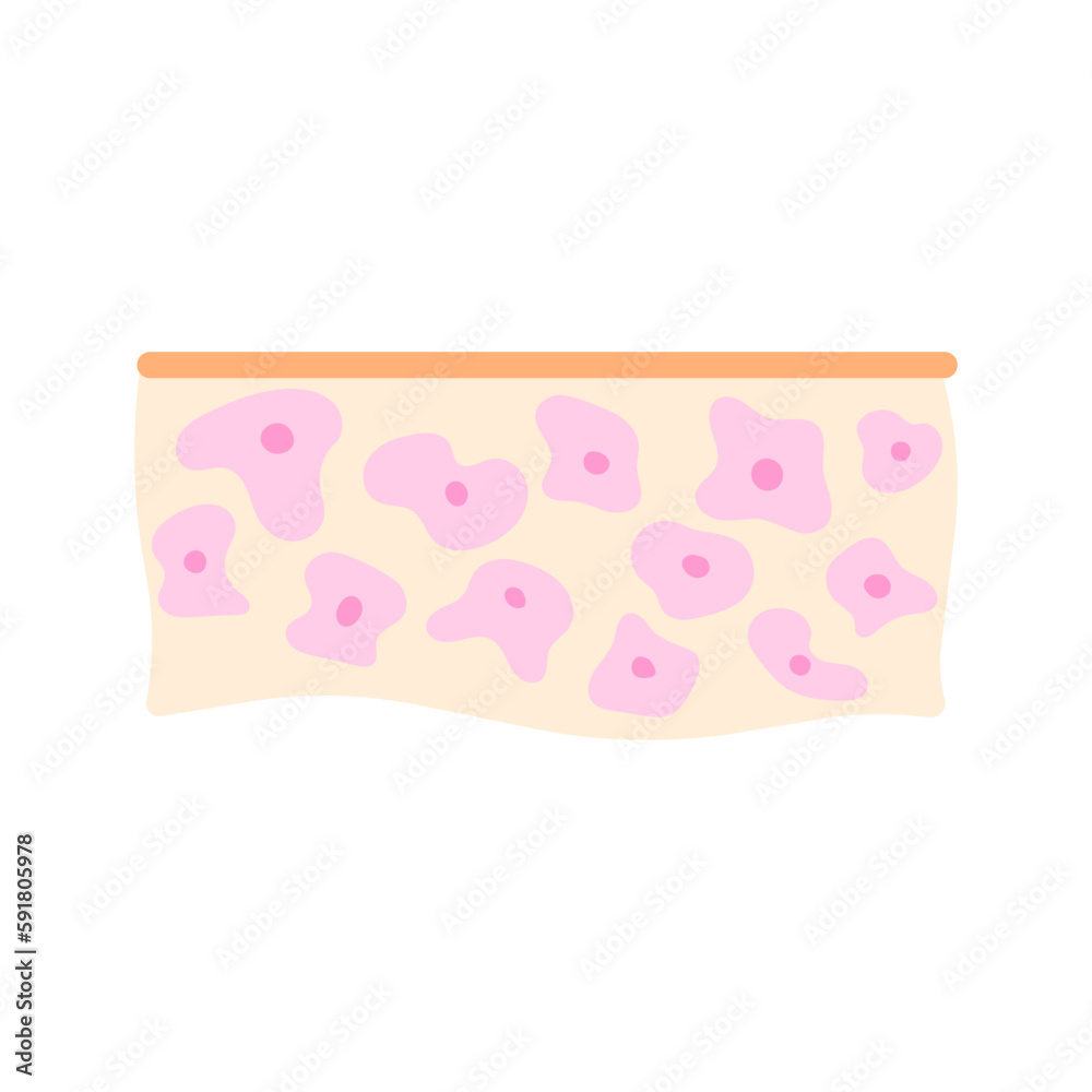 Human skin cell icon. Nucleus and membrane tissue under microscope ...