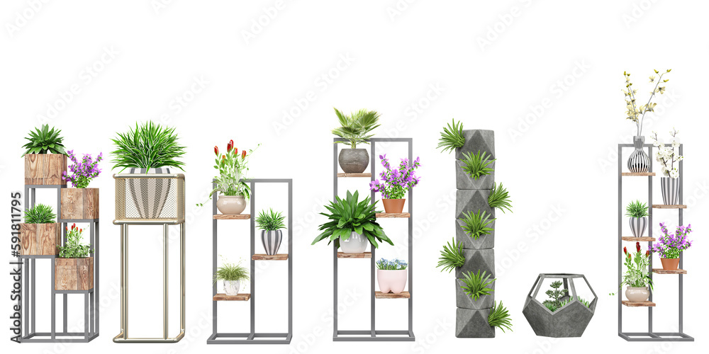 The versatility of transparent plant cut-outs in interior design for ...