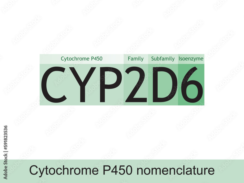 Cytochrome P450 CYP2C9 nomenclature diagram showing family, subfamily ...