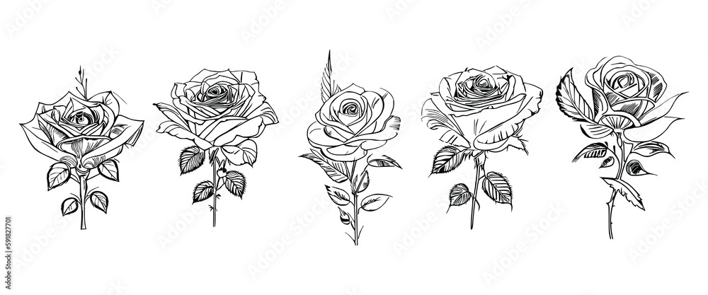 The Five Roses Coloring Book showcases five distinct roses, each with ...