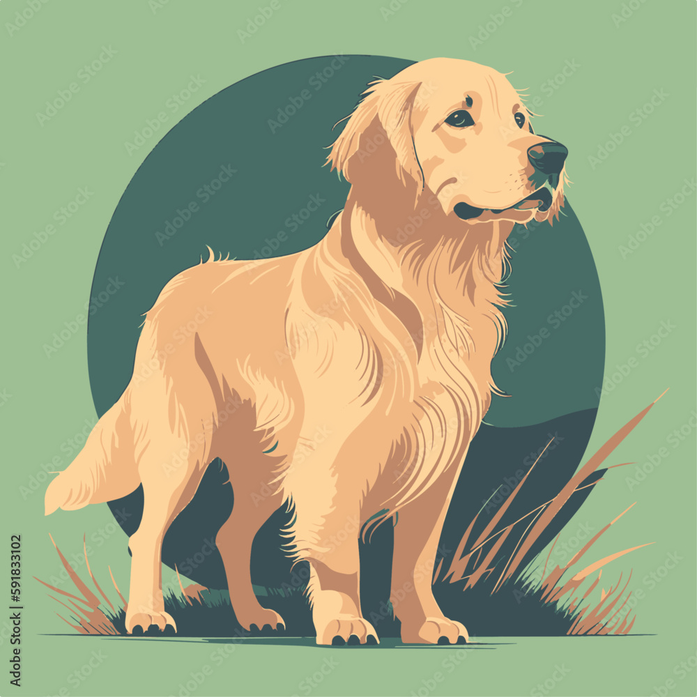 golden retriever puppy,golden retriever dog flat illustration, animal ...