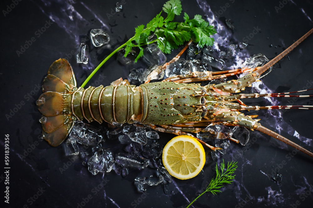 spiny lobster seafood on ice, fresh lobster or rock lobster with herb ...