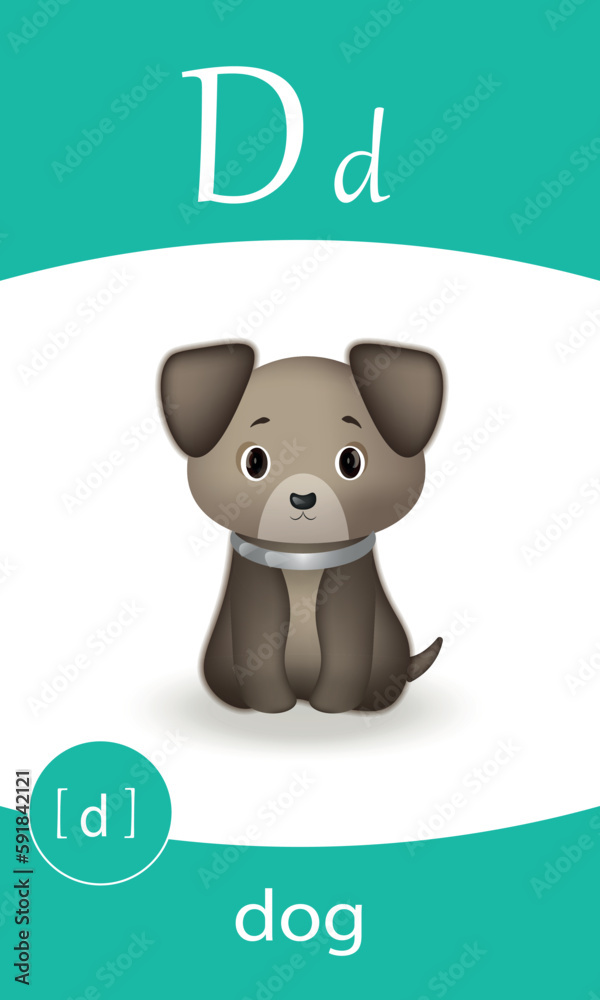 English alphabet flash card. Letter D study - dog. Kids ABC cards ...