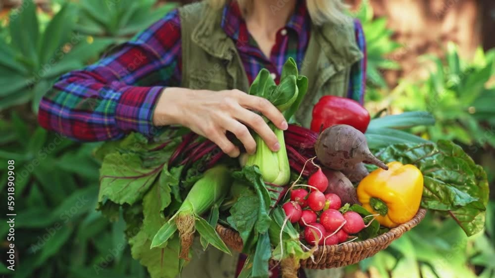 Vegetables are parts of plants that are consumed by humans or other ...