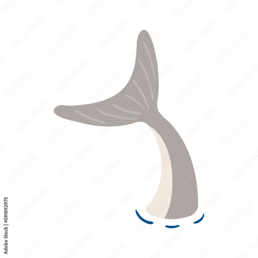 Shark tail hand drawn illustration. Cartoon style flat design, isolated ...