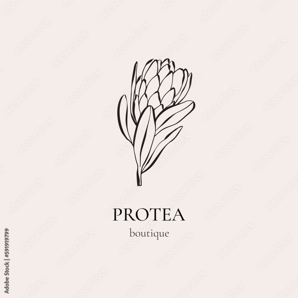 Protea logo. Modern flower illustration. Vector floral logo template ...