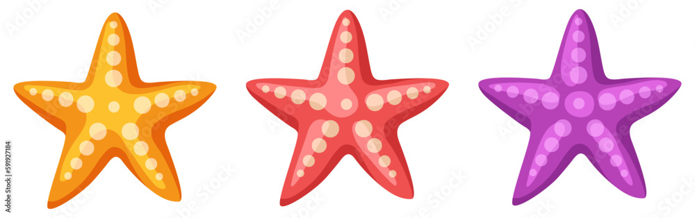 Starfish. Vector set isolated on white background. Stock Vector | Adobe ...