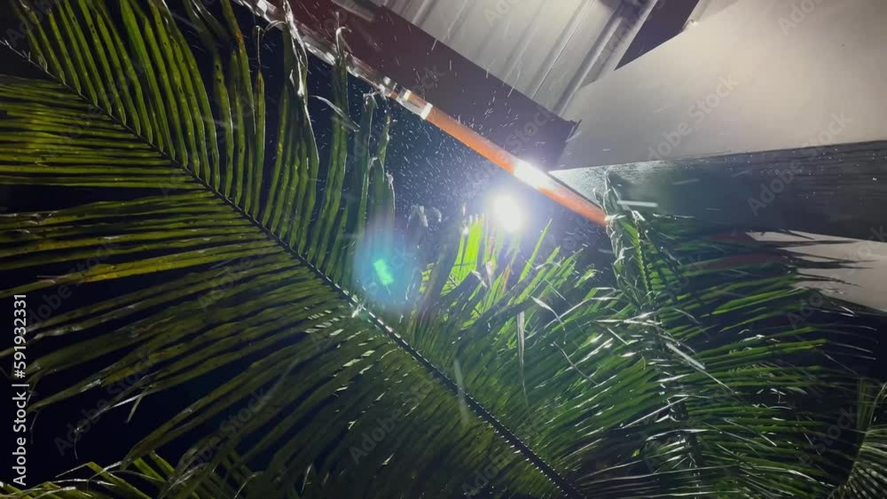 Lens flare from street lamp on rainy day in tropics. Tropical rain ...