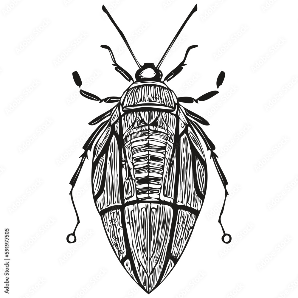 bug logo, black and white illustration hand drawing bugs Stock Vector ...