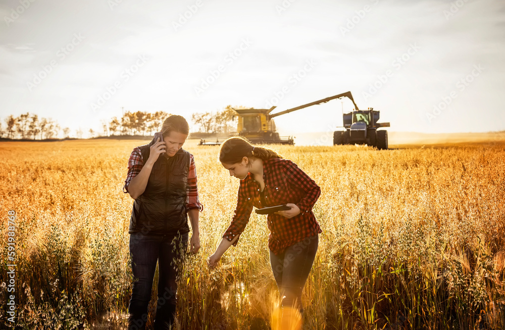 Woman farmer and apprentice using advanced farming technology during ...