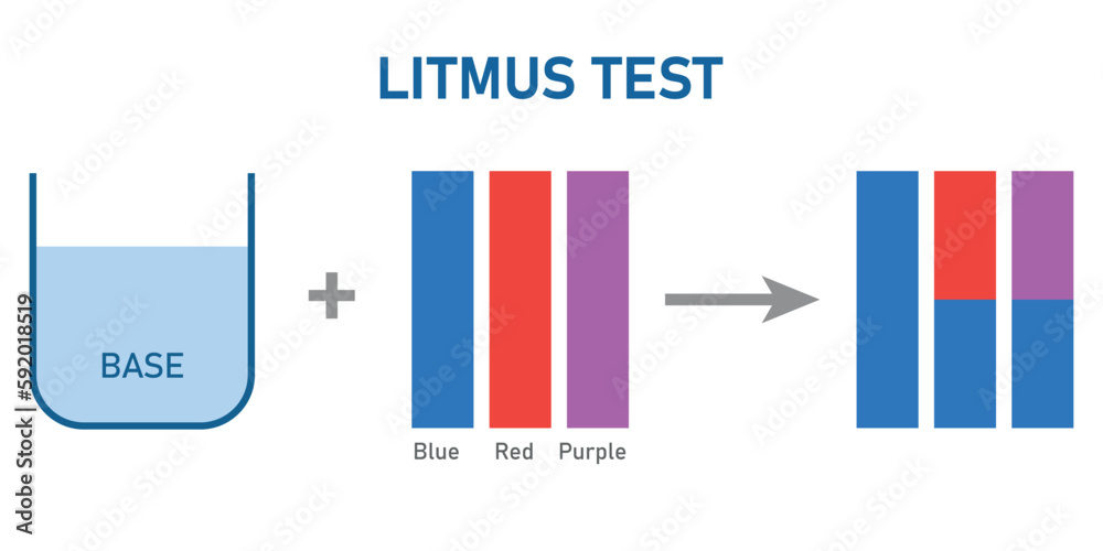 Bases cause red litmus paper to turn blue. Scientific vector ...