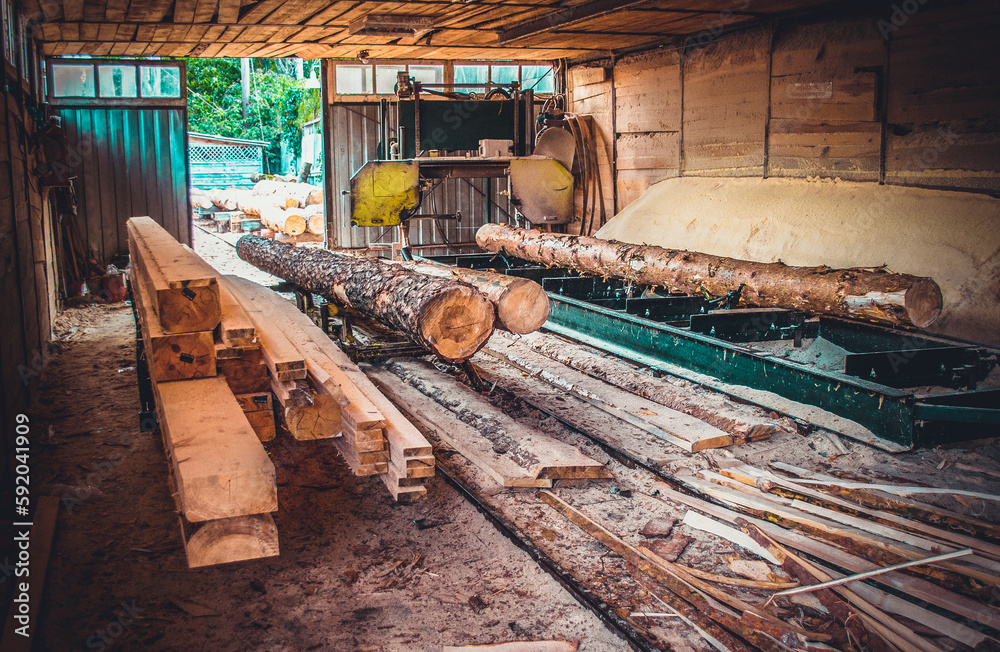 Sawmill. Process of machining logs in equipment sawmill machine saw ...