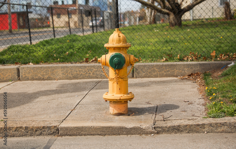 fire hydrant on a street corner, symbolizing the crucial role it plays ...