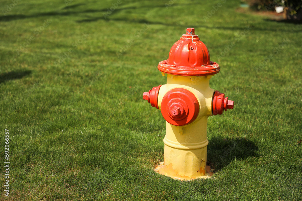 fire hydrant on a street corner, symbolizing the crucial role it plays ...
