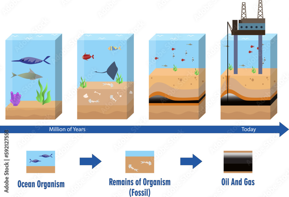 Oil and gas formation step by step diagram, oil and gas industry in the ... Oil and gas formation step by step diagram, oil and gas industry in the ...