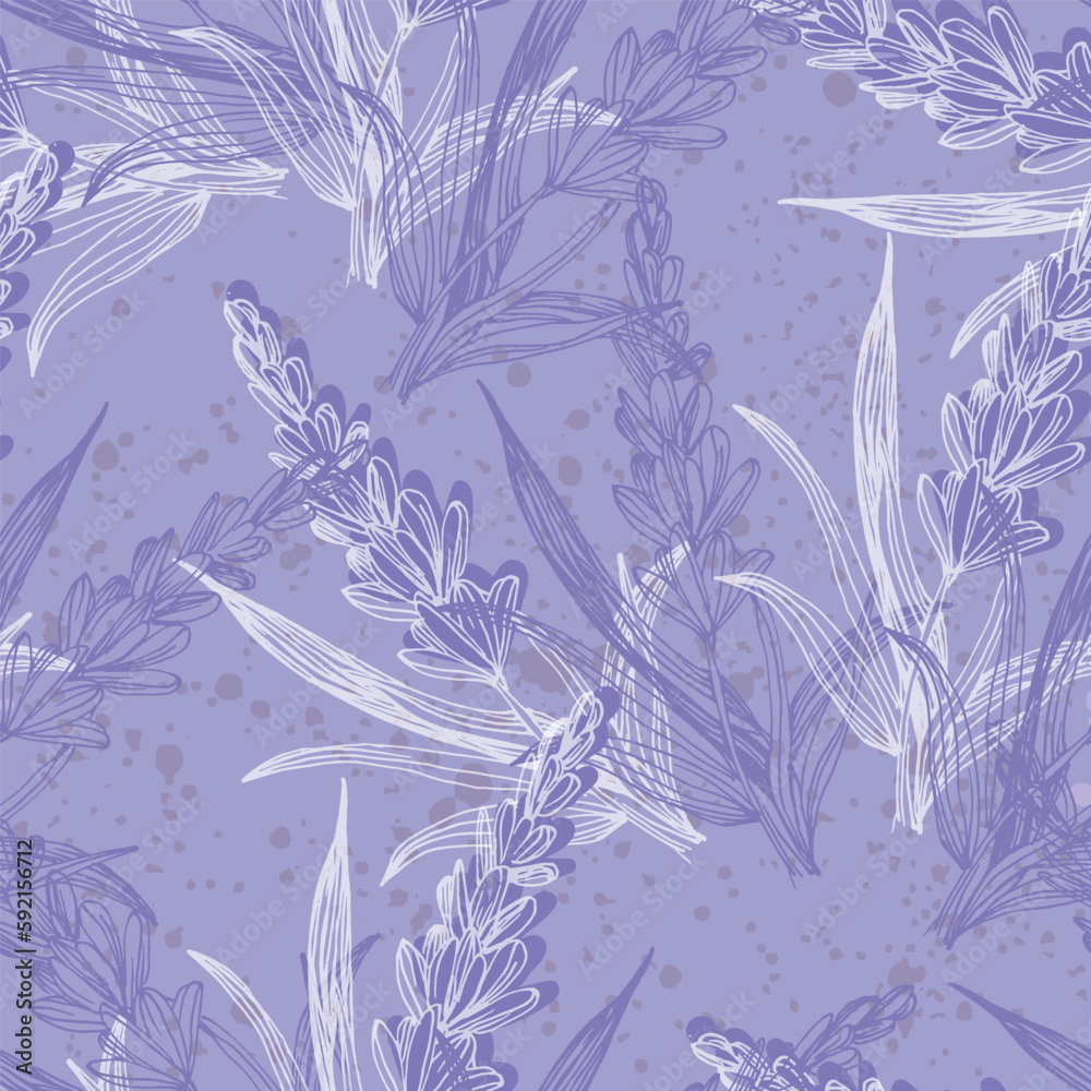 avender flowers illustration with lavender and seamless pattern ...