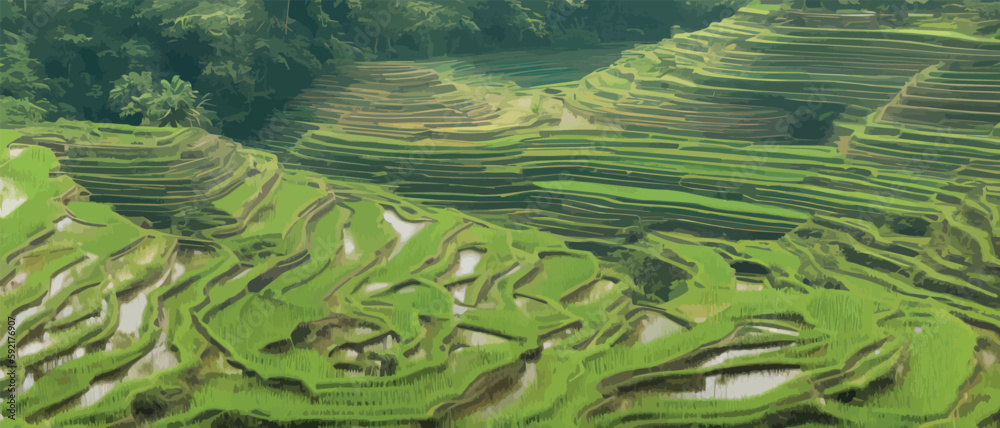 Terraced plantation poster Chinese rice fields. Tea plantations ...