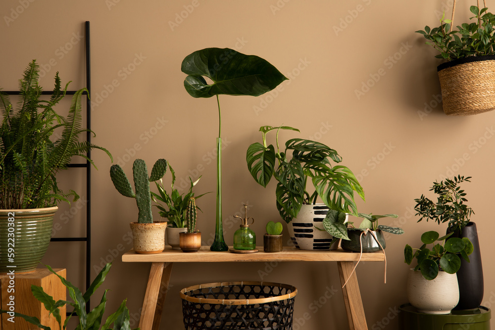 Botanical composition of living room interior with plants in flowerpots ...