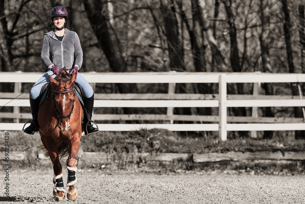 Foto de Rider photographed from the front with her horse quarter horse ...