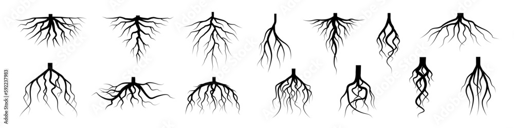 Tree root icon set. Tree root silhouette set. Stock Vector | Adobe Stock