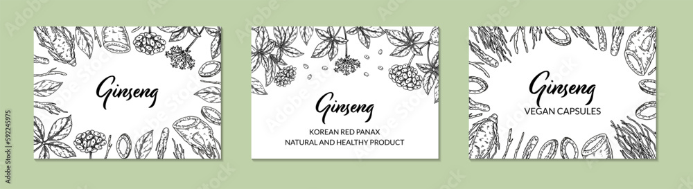Ginseng horizontal design. Hand drawn botanical vector illustration in ...