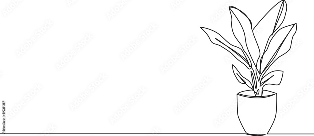 continuous single line drawing of potted plant, line art vector ...