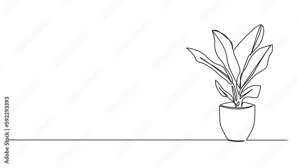animated continuous single line drawing of potted plant, line art ...