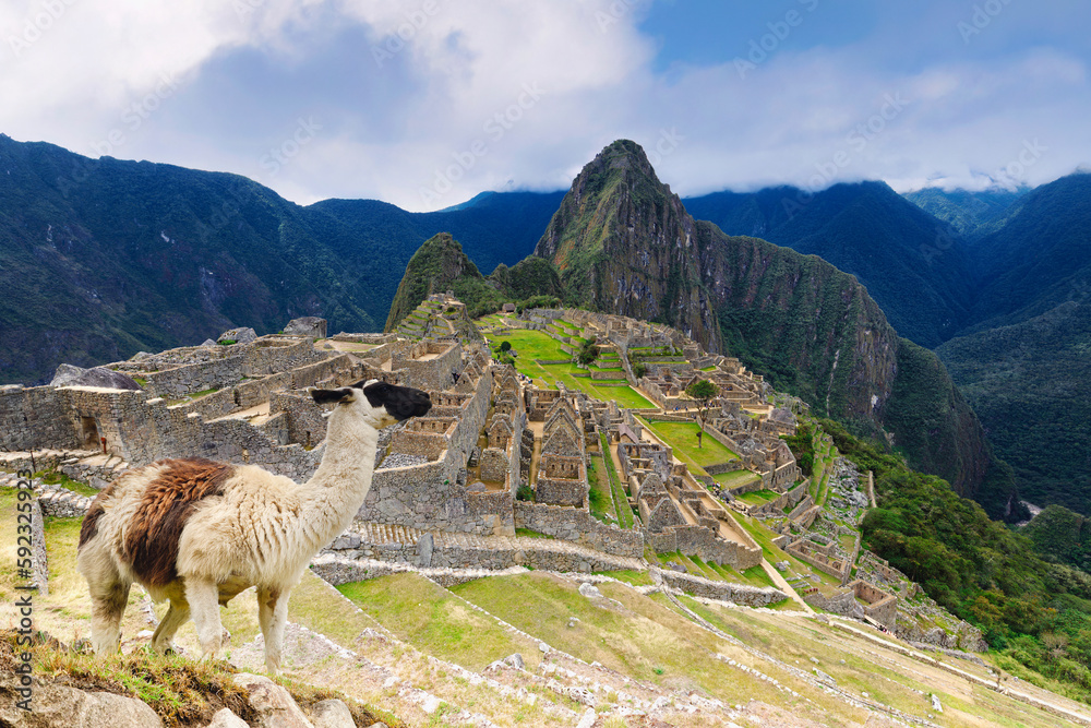 Machu Picchu, UNESCO World Heritage Site, with llama in front of the ...