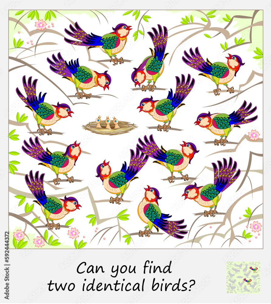 Logic puzzle for children and adults. Can you find two identical birds ...