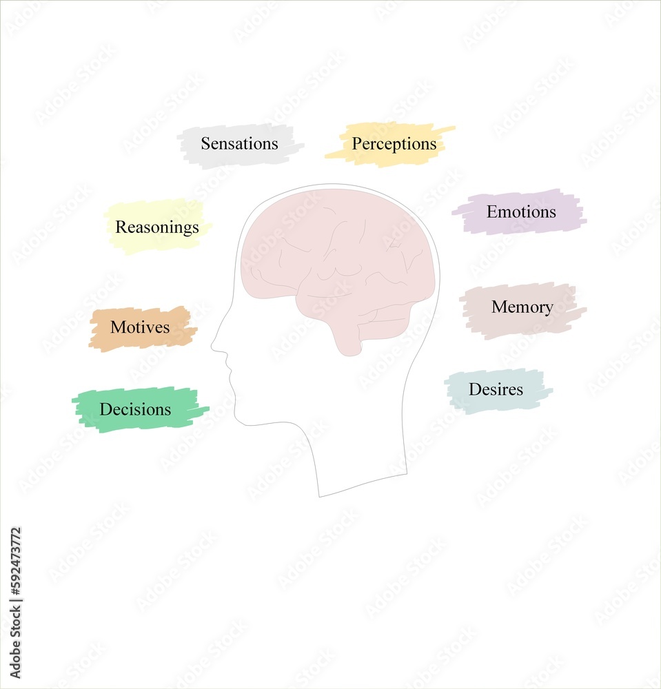 Mind and some of the processes taking place in mind Stock Illustration ...