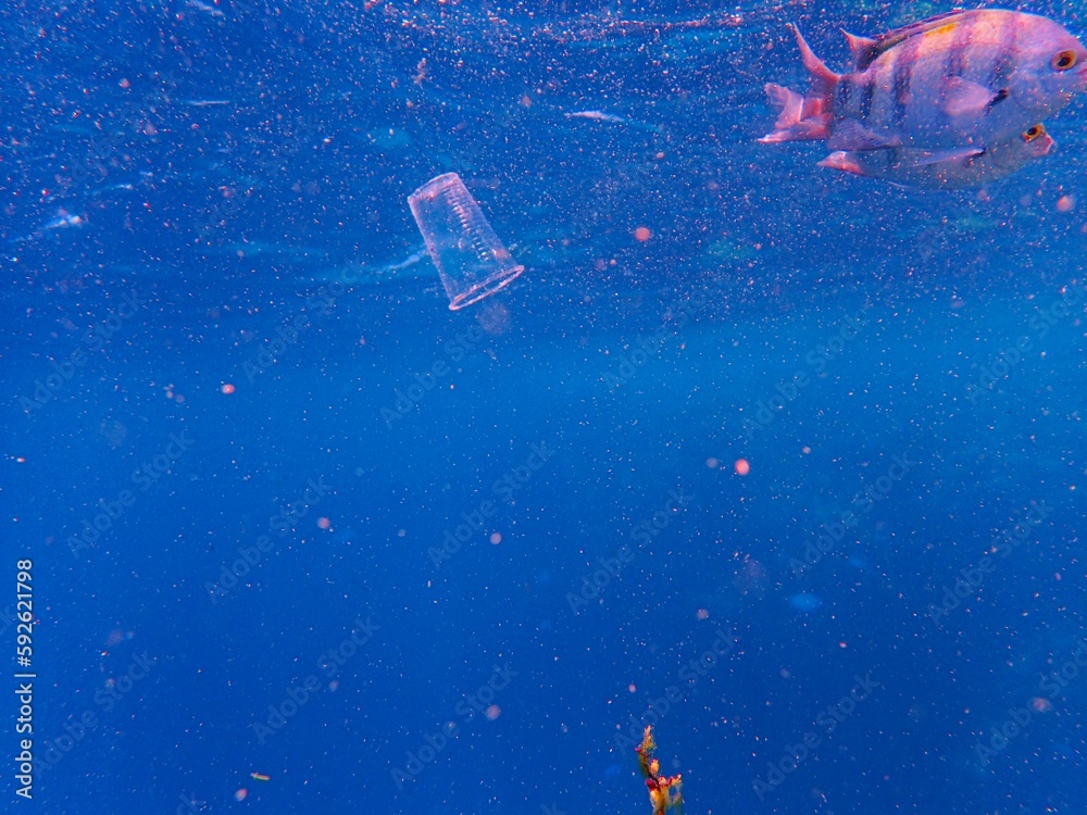 Plastic ocean pollution in red sea, near Jaz Lamaya, Coraya bay, Marsa ...