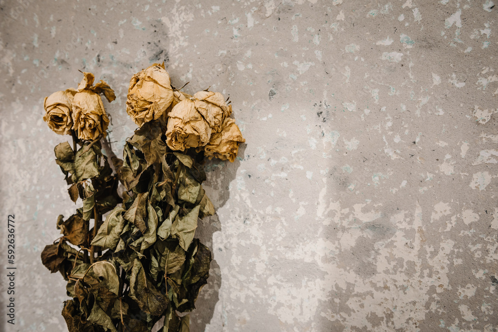 Composition of dry flowers on concrete old dirty texture wall. Dried ...