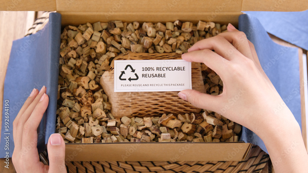 Eco vendor go green packaging parcel carton box in net zero waste store ...