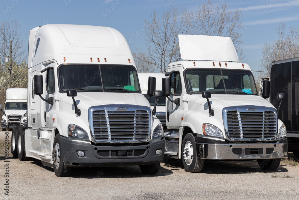Freightliner Semi Tractor Trailer Big Rig Trucks Lined up for sale ...