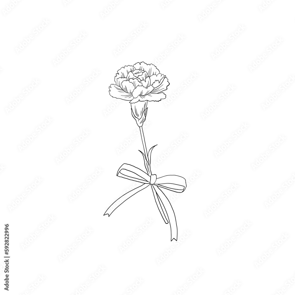 carnation line drawing. Hand-drawn vector illustration. One flower ...