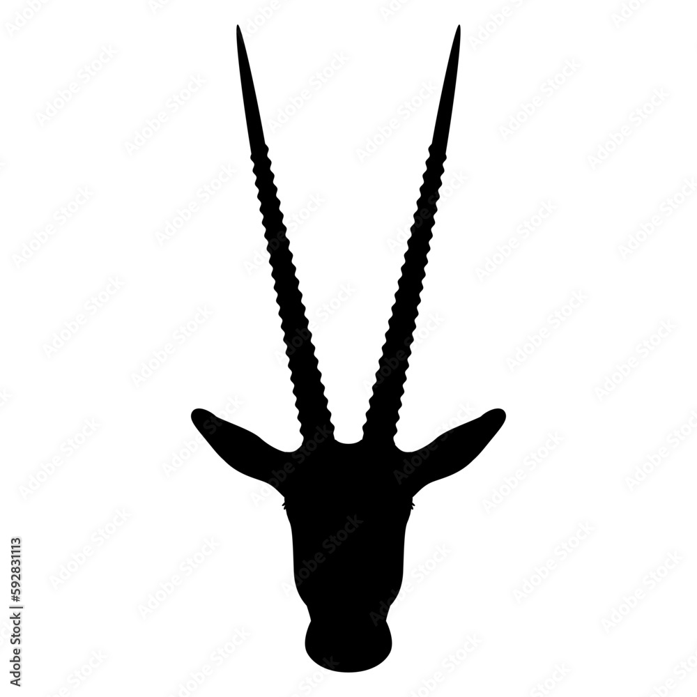Oryx Head