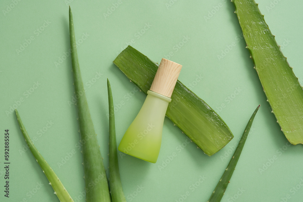 Aloe Vera Leaf Cut