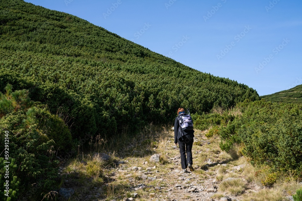 Beautiful shot from behind girl with backpack climbing mountain, hiking ...