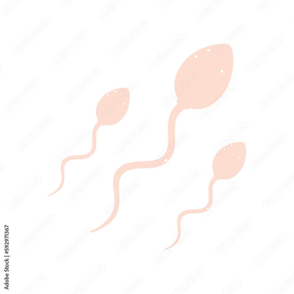 Spermatozoon, sperm cells. Male gametes, human semen. Vector ...