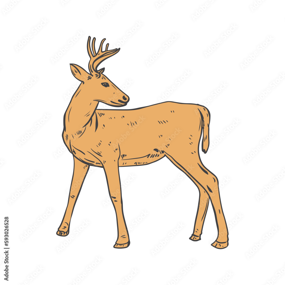 Deer Line art vector illustration. Deer line drawing character ...