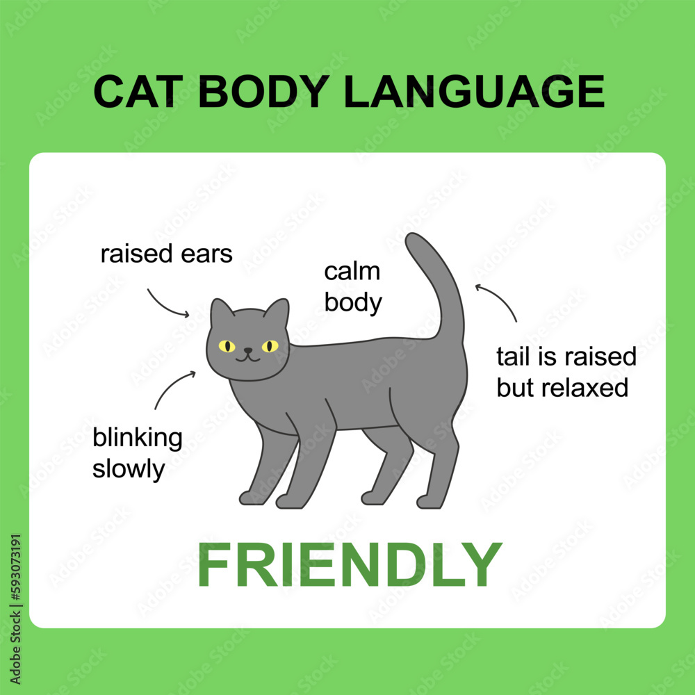 Cat body language behavior friendly signals. Card with information for ...