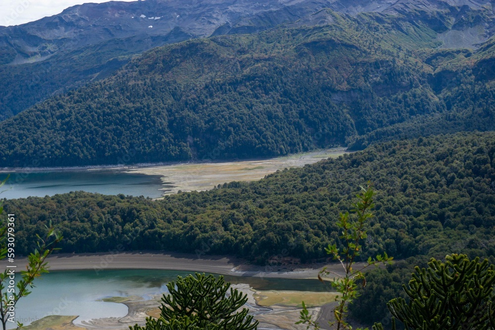 Parque Nacional Conguillío, 9na región de chile Stock Photo | Adobe Stock