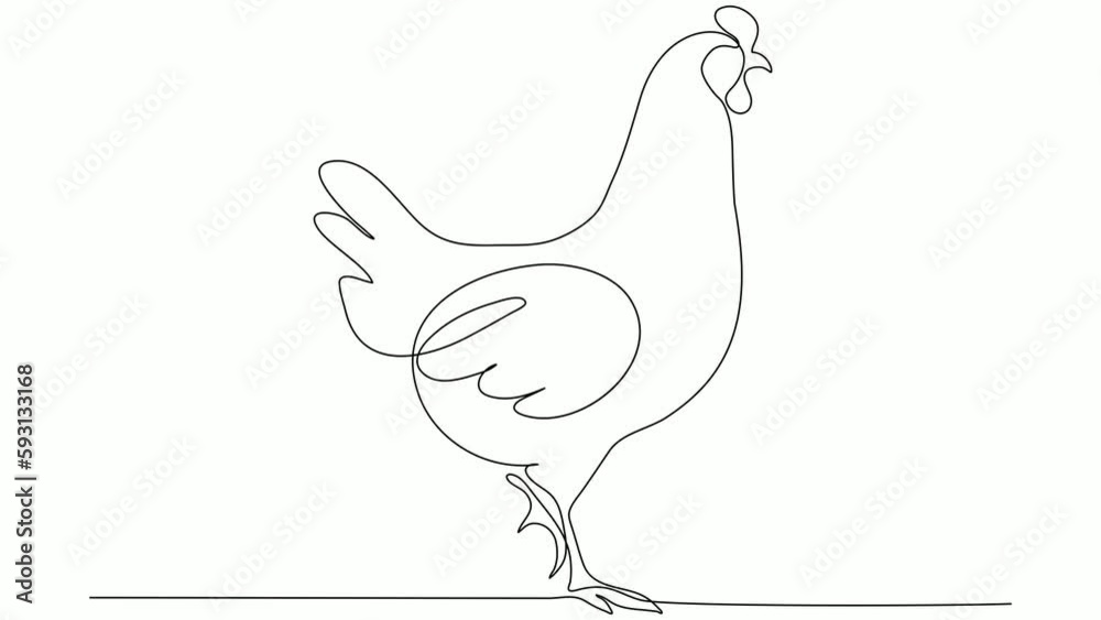 Continuous line art or One Line chicken drawing for vector illustration ...